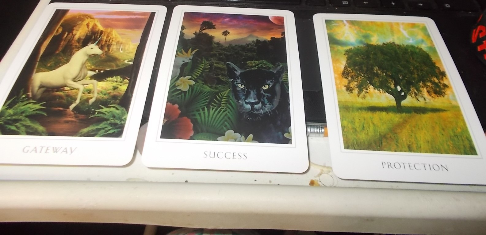 Sacred Destiny Oracle- 5/21/20 – Tarot and Oracle Readings with other ...